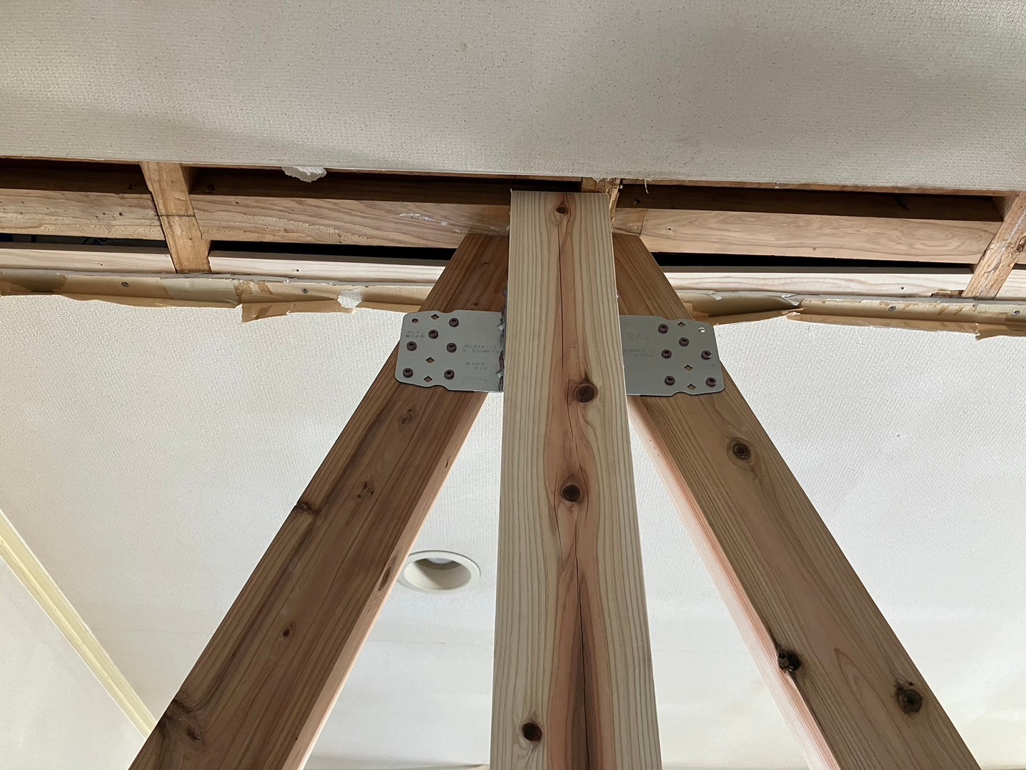 LINE_ALBUM_20240523_240531_41 | 宮崎・都城の注文住宅・リフォームなら千人